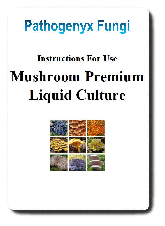PATHFINDER OYSTER Mushroom, liquid culture syringe, Premium Mycelium ...